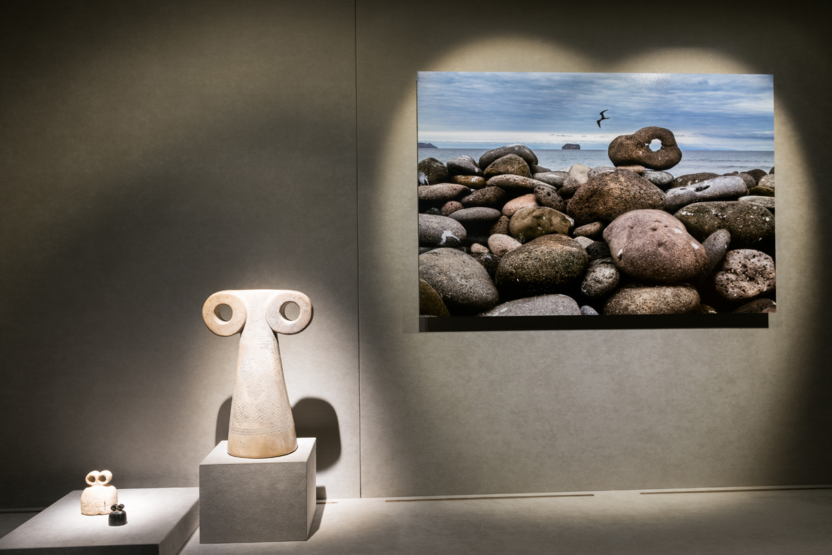 Visite commentée "Steve McCurry & Musée Barbier-Mueller, wabi-sabi : la ...